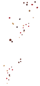 Adabi Consumer Industries Sdn. Bhd. - Adabi