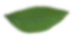 Adabi Consumer Industries Sdn. Bhd. - Adabi